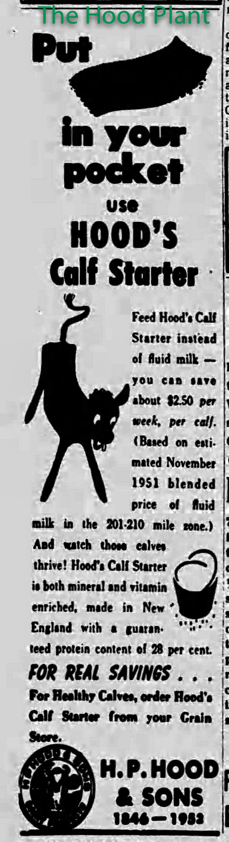 H.P. Hood Plant History « The Hood Plant